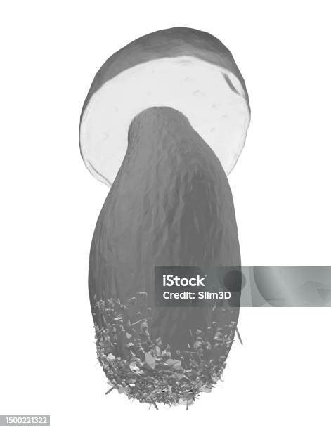 다각형 샴피뇽 버섯 벡터 그림 두꺼비 파리 한천 흰 버섯 흰색 배경에 분리된 다각형 버섯 버섯 샴피뇽의 벡터 아이콘 그림 3d 가을에 대한 스톡 벡터 아트 및 기타 이미지