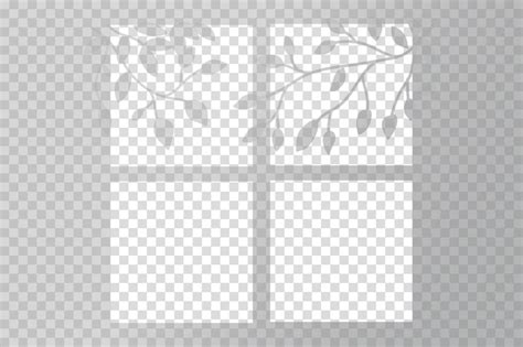 나무 그림자 Png 벡터 Freepik에서 무료 고품질 벡터를 다운로드하세요 Freepik