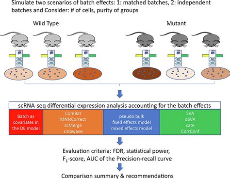 A Comparison Of Methods Accounting For Batch Effects In Differential Expression Analysis Of Umi