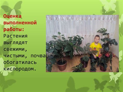 Практическая работа «Учимся ухаживать за комнатными растениями презентация онлайн