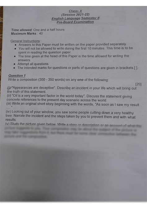 SOLUTION Class Icse English Language Practice Sample Paper Studypool