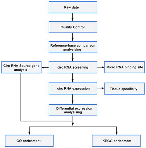 Key Circular Rnas Identified In Male Osteoporosis Patients By Whole