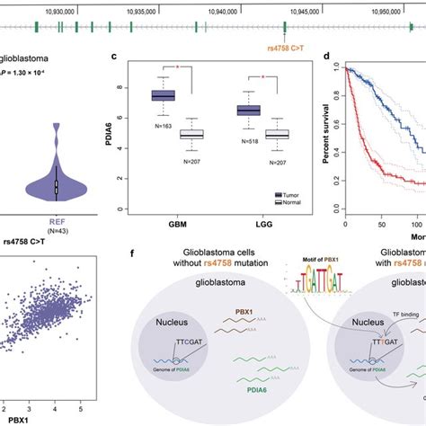 Pdf Discovering Single Cell Eqtls From Scrna Seq Data Only