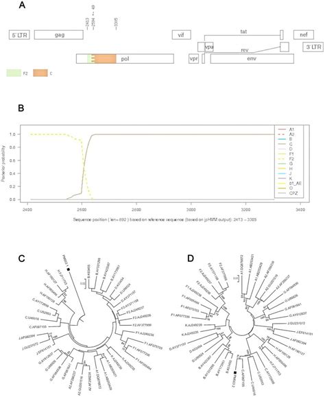 Subtyping Analysis Of Pm003 08 Using Jphmm And Manual Phylogenetic