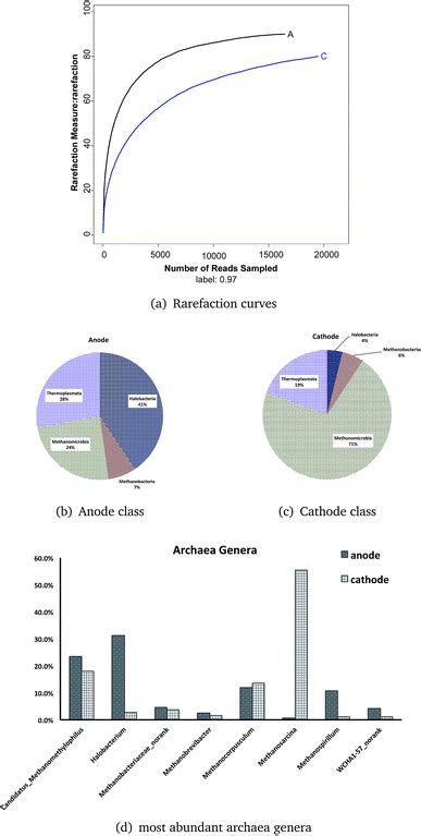 Interaction Of Bacteria And Archaea In A Microbial Fuel Cell With Ito Anode Rsc Advances Rsc