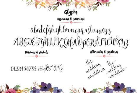 12 Gorgeous Modern Script Typefaces 12 12 Gorgeous Modern Script Typefaces 12