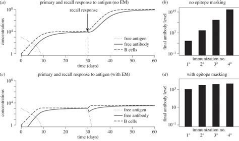 Primary And Recall Responses To Sequential Immunization With An Antigen