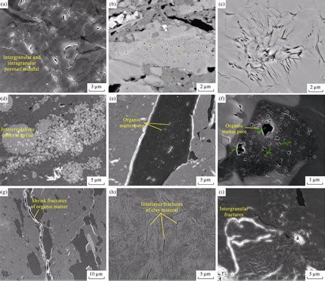 Sem Characteristics Of Pores And Fractures In The Shan 2 Shale Samples