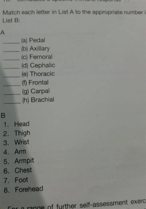 Brainly In