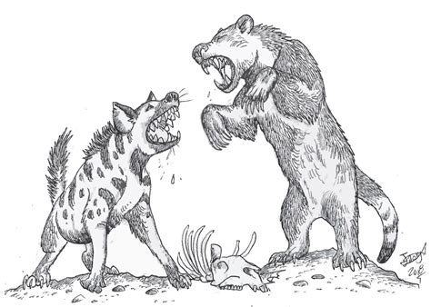 A Giant Mustelid Possibly Plesiogulo Shows An Adcrocuta Hyena Whos