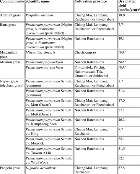 Types Of Grasses Grown In Thailand Download Table