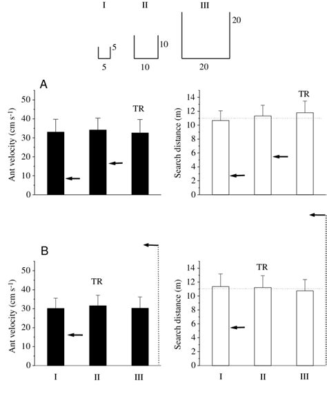The Effects Of Variation In Channel Width A Training In The 20 Cm Download Scientific