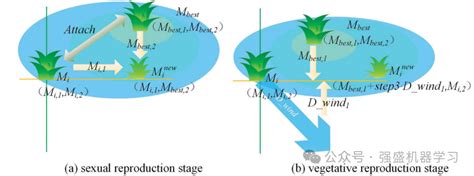 苔藓生长优化算法 mgo 2024年9月sci新算法 公式原理详解 matlab代码免费获取 csdn博客