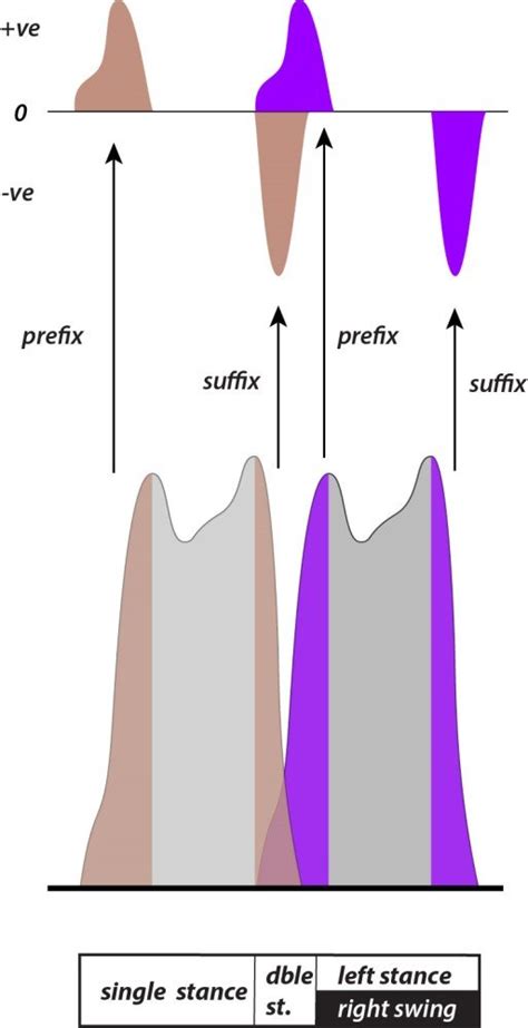 The Prefix And Suffix Phases In The Raw Data Below And The Data Download Scientific Diagram