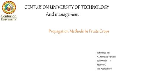 Propagation Methods In Fruits Cropspptx