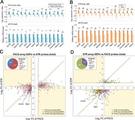 Comparison Of Differentially Expressed Probes Deps Between Facs Array