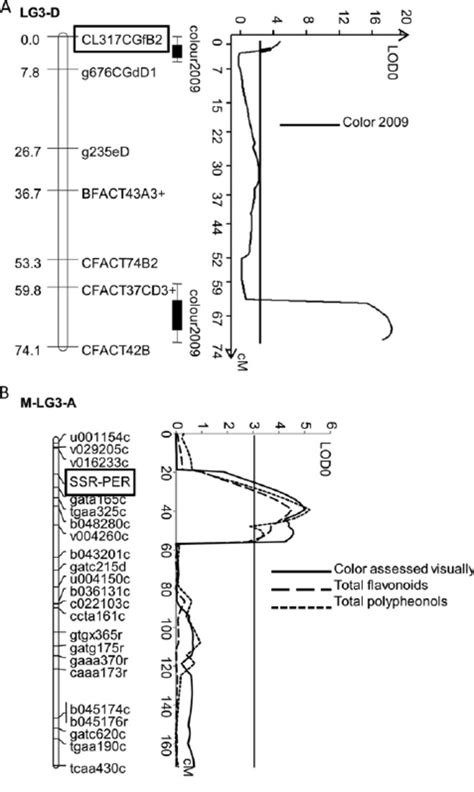 Qtl Analyses Of A Spanish And A French Segregating Population Of Download Scientific Diagram
