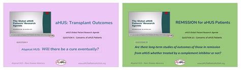 Exploring The Ahus Patients Research Agenda Ahus Alliance Action