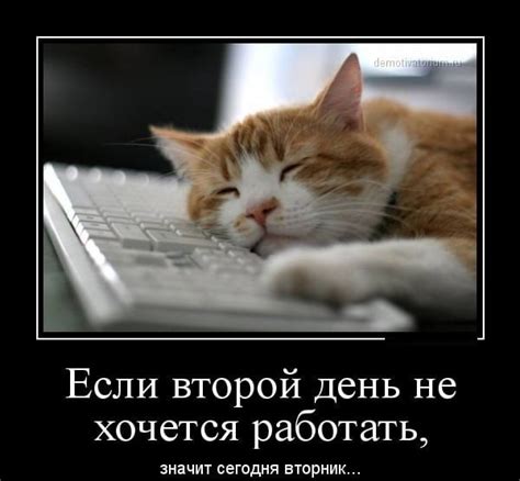 Забавни снимки и клипчета за владеещи руски добре Страница 97