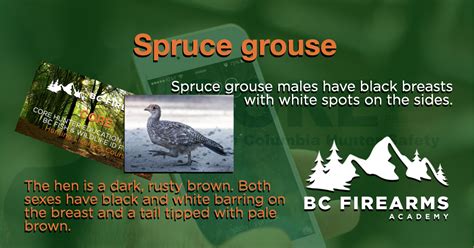 Bc Core Hunter Education Practice Test Bc Firearms Academy