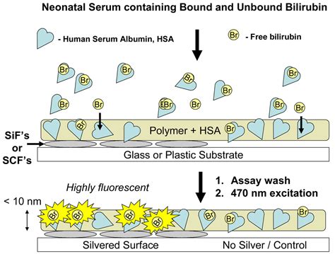Newborn Jaundice Technologies Unbound Bilirubin And Bilirubin Binding