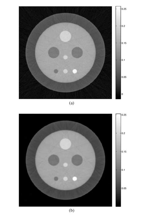 Examples Of Images Reconstructed By Use Of Pls Algorithms Based On The