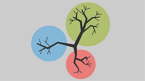 Linnaean System Of Classification Understanding Of Biology To Classify Diversity Of Organisms
