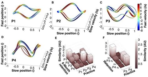 Average Trajectories In Four Dimensional State Space Ad Download Scientific Diagram