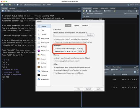 R Basics QML