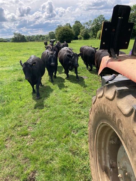 Tom May Aca Cta On Linkedin Farm24