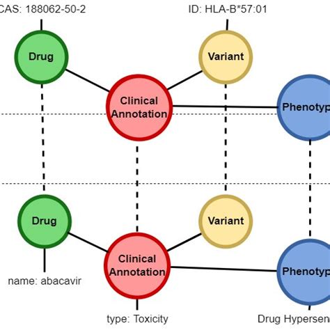 Schematic Representation Of The Graph Nodes That Are Relevant For The