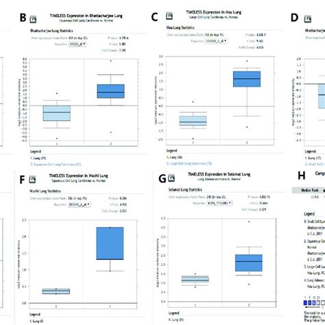 expression profile of the timeless gene in different human tissues a