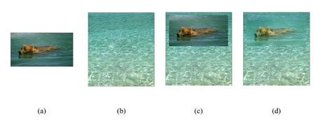 Poisson Image Editing