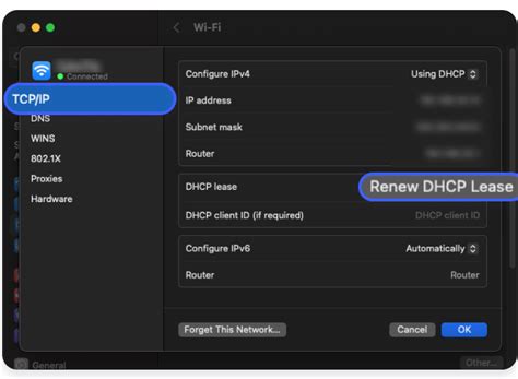Optimize Your Network A Guide To Renewing DHCP On MacOS