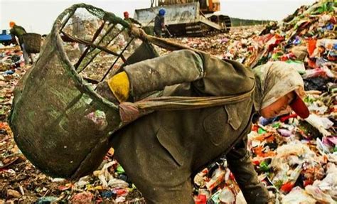 垃圾分類日本不如中國！ 每日頭條