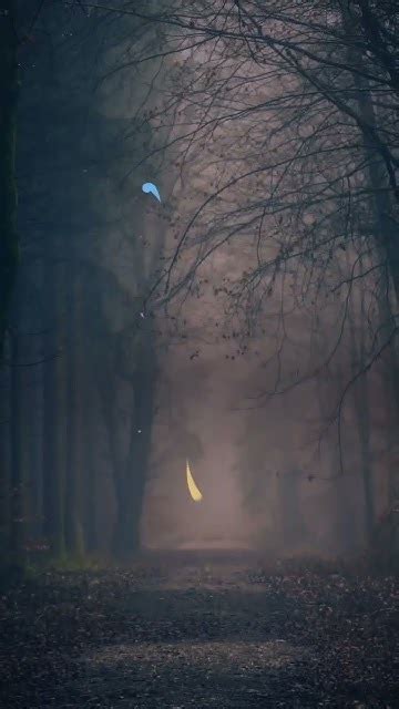 Code With Me Softwaredeveloper Javascript Javascriptdeveloper Java Codingquotes Motivation