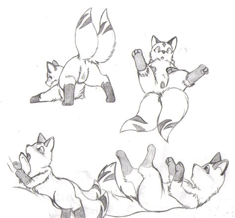 Rule 34 2011 Ass Up Feline Clitoris Feline Fellatio Female Feral Kitsune Youkai Looking Back