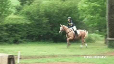 Horse Breeding 