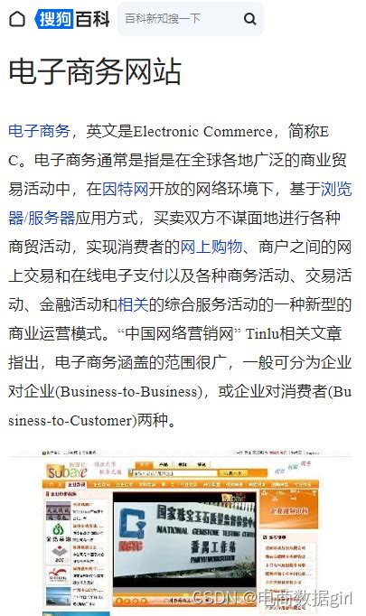 电子商务网站知识 搭建自己的电子商务网站需要注意什么 搭建电商独立站的注意事项 csdn博客