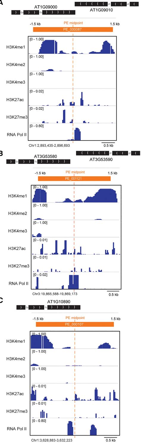Integrative Genomics Viewer Igv Visualization Of Three Pe Loci And Download Scientific