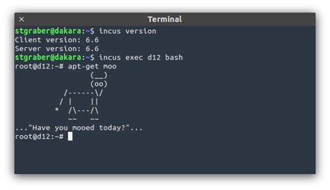 Incus Has Been Released News Linux Containers Forum