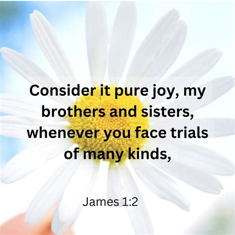 Romans 12 10