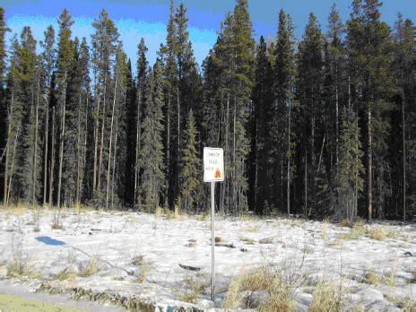 Phase Optimization Approach For Topographic Phase Estimation The Green Download Scientific