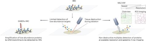 Noel De Miranda On Linkedin Advancing Multiplexed Imaging For Enhanced