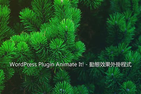 wordpress plugin animate it 動態效果外掛程式 麥克斯與沃普雷司