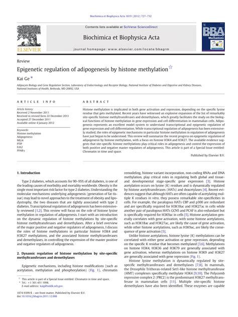 PDF Epigenetic Regulation Of Adipogenesis By Histone Methylation