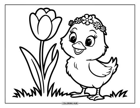 110 Dibujos De Pollitos Para Colorear Para Niños Y Adultos Gratis