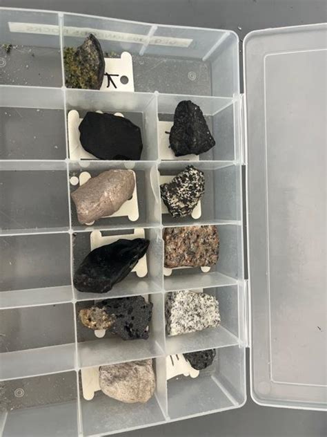 Solved Student Name Lab Section Date Student Name Chegg