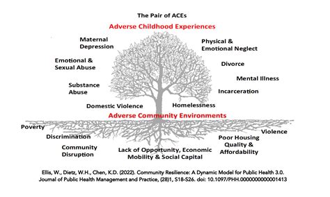Home Center For Community Resilience