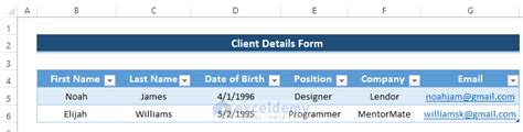 How To Make An Excel Spreadsheet Look Like A Form